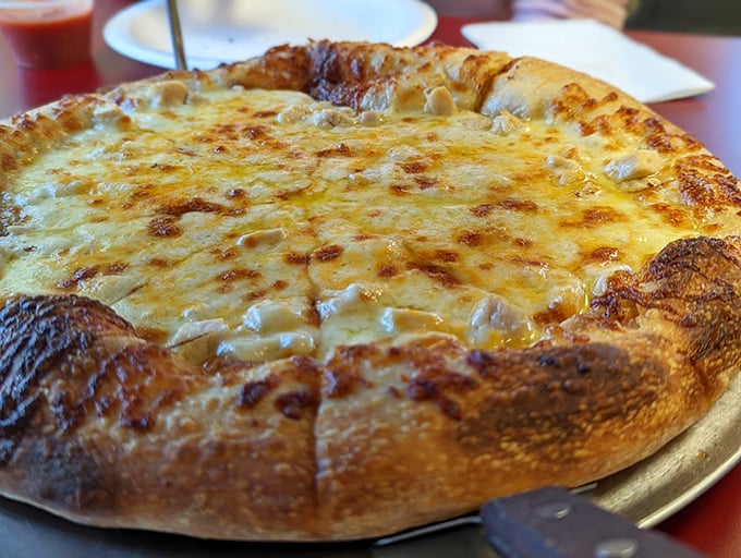 This cheese pizza is stretching the limits of dairy devotion. It's got more pull than a tractor at a county fair.