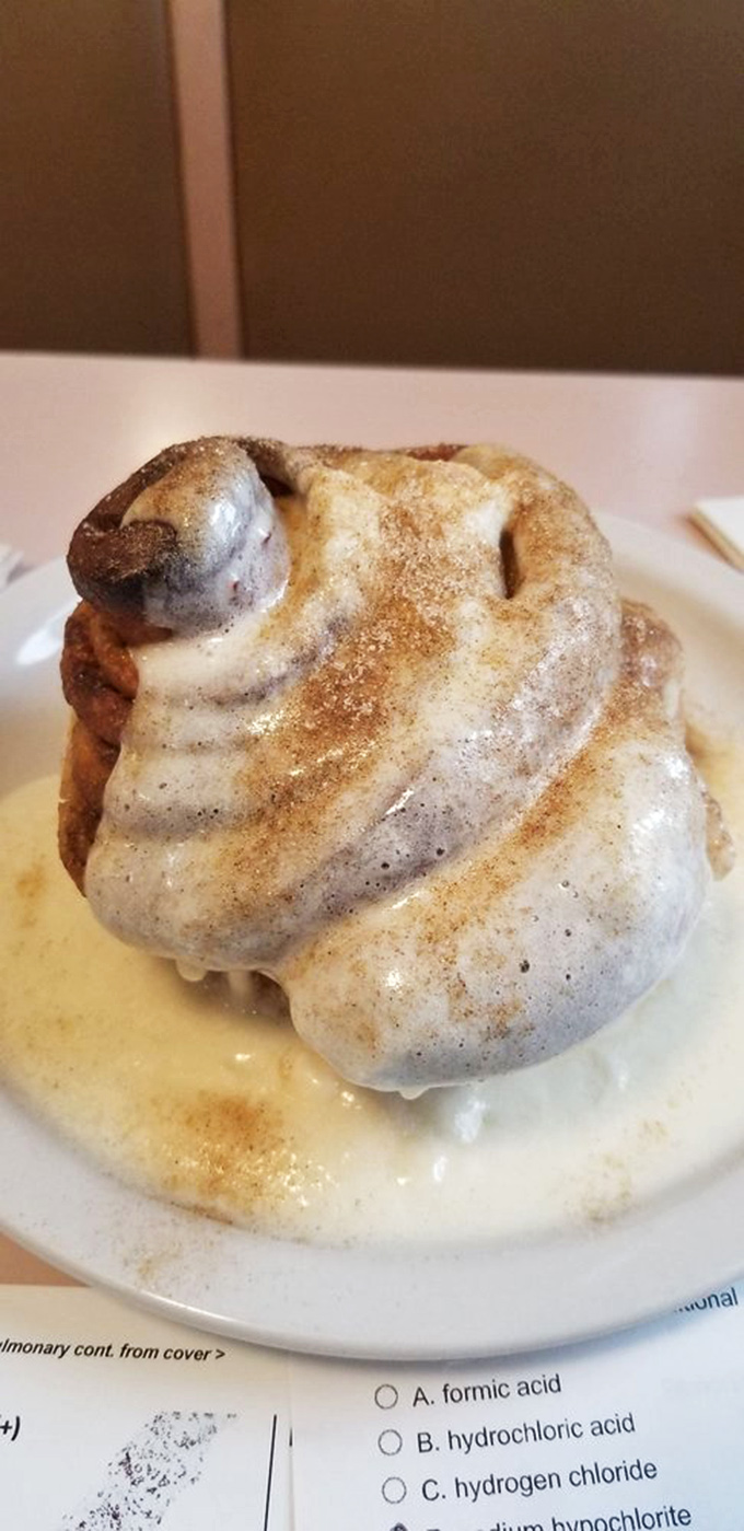 Holy sweetness! This cinnamon roll isn't just a pastry, it's a warm hug for your taste buds. Resistance is futile.