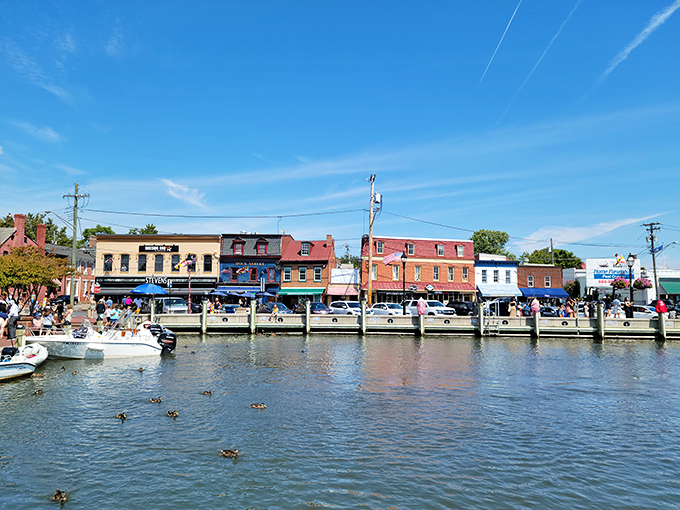 City Dock: Where boats and buildings play a game of "who's got the best view?" Spoiler alert: Everyone wins!