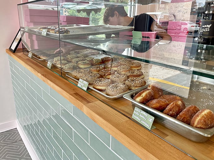 The Great Wall of Donuts! This counter is like a fortress of flavor, defending us against the perils of boring breakfasts.