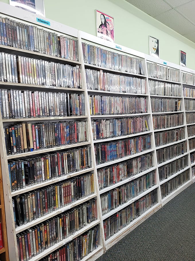 DVD heaven or time machine? This collection's got more classics than you can shake a remote at. Popcorn, anyone?