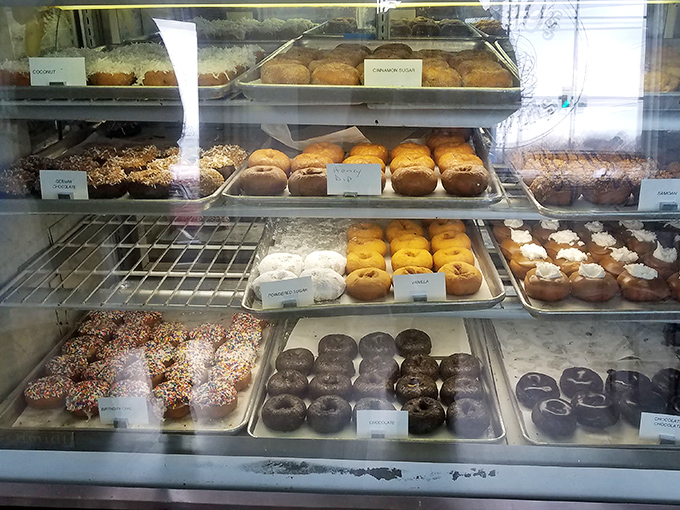 Donut nirvana achieved! This display case is a choose-your-own-adventure book where every ending is deliciously sweet.