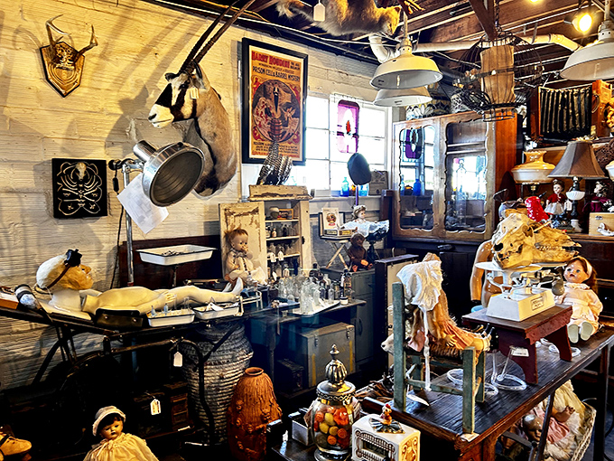 Welcome to the island of misfit toys! These vintage dolls and figurines are itching to tell their stories (some more creepy than others).