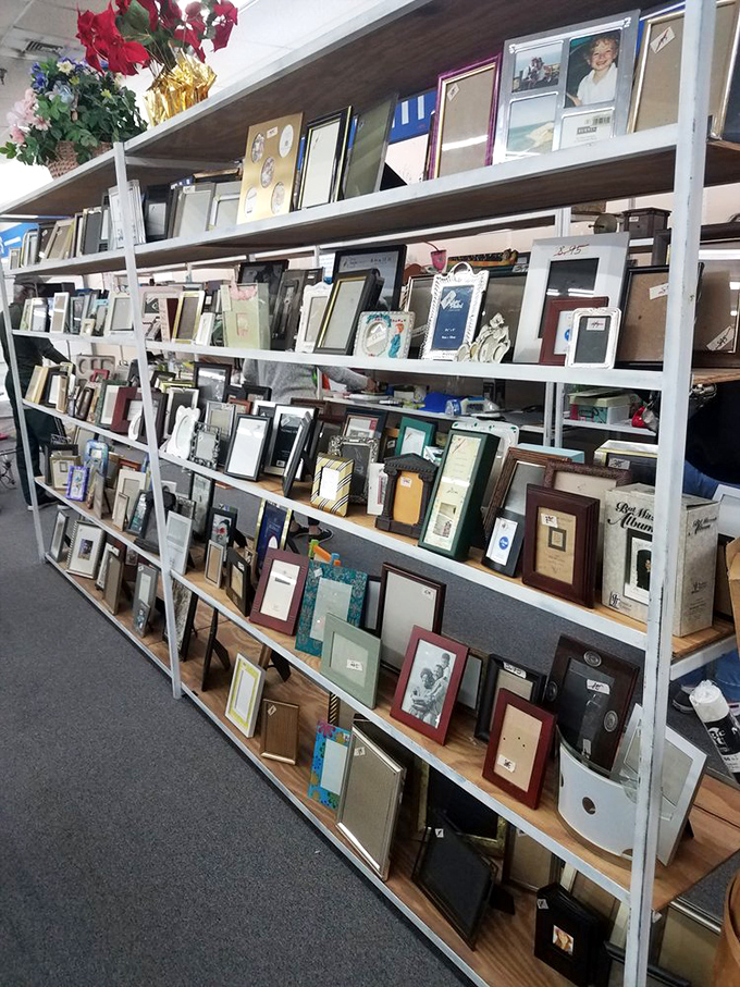 A gallery of forgotten memories and future possibilities. One person's discard is another's masterpiece-in-waiting. Time to get framed!