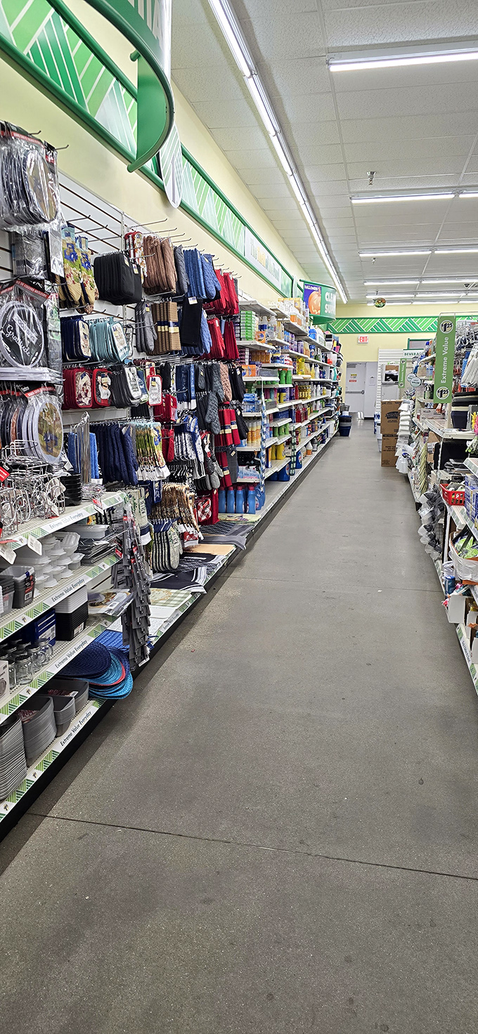 Home essentials that transform bare-bones vacation rentals into something approximating civilization, one dollar item at a time.