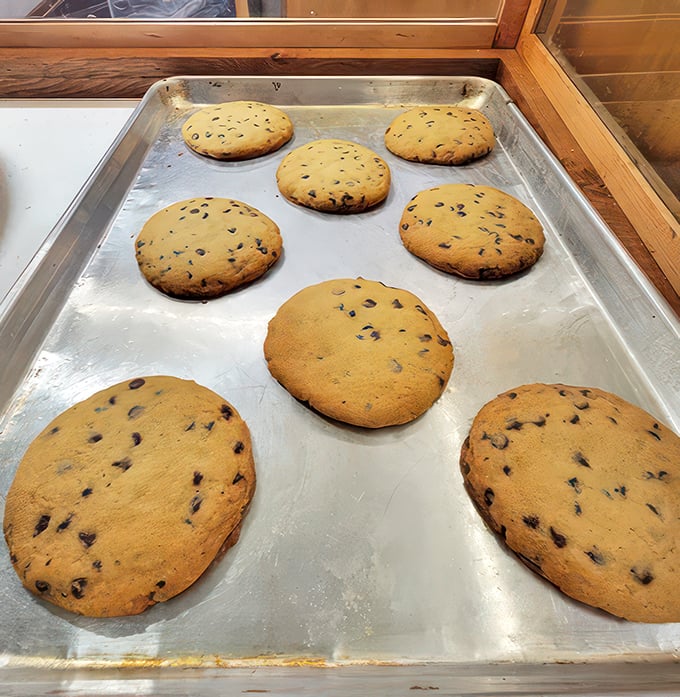 Cookie monsters, unite! These house-made treats are giving grandma's recipe a run for its money. Chocolate chips included, guilt sold separately.