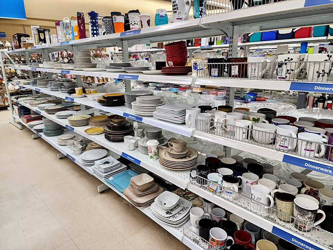 Dish out some personality with this eclectic array of plates and mugs. From "World's Best Grandpa" to abstract art, there's a dish for every occasion.