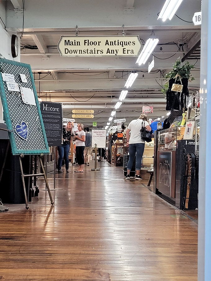 Bargain hunters in their natural habitat. Watch as they navigate the wilderness of vintage treasures with expert precision.