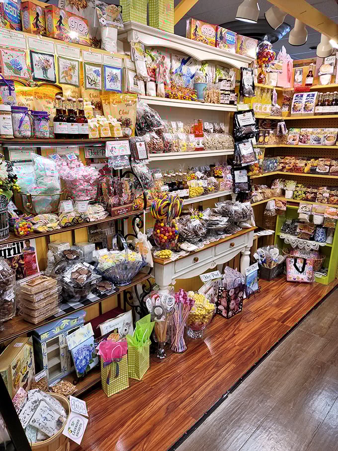 A candy cornucopia that would make Willy Wonka jealous. Warning: May induce sugar-fueled nostalgia and spontaneous giggles.