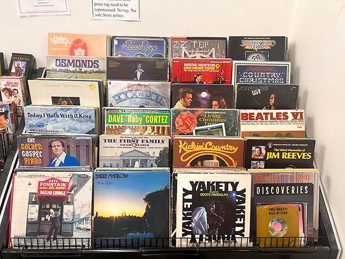 "Vinyl revival! These groovy tunes are ready to spin you back in time faster than a DeLorean."