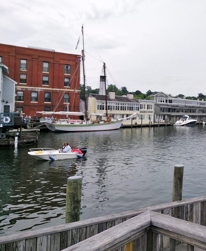 Ahoy, matey! Whether you're Captain Ahab or just along for the ride, these waters are calling. Time to make some waves!