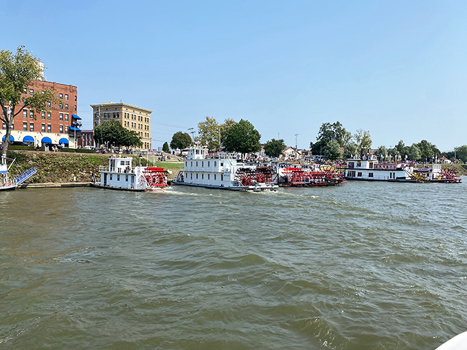 All aboard the nostalgia express! These riverboats aren't just floating &ndash; they're time traveling, taking you back to the days of Mark Twain and riverboat gamblers.