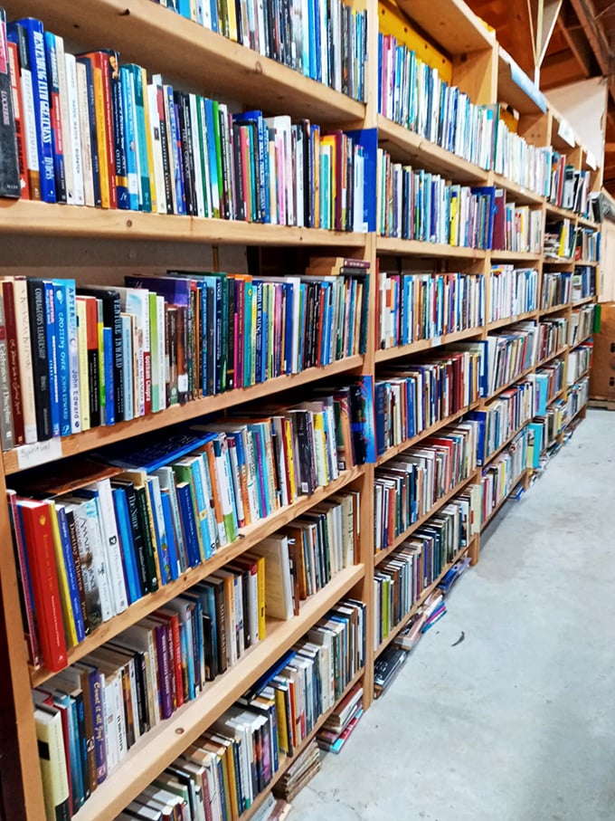 Books, books everywhere, and every page a drink! This sea of stories is enough to quench even the most voracious reader's thirst.