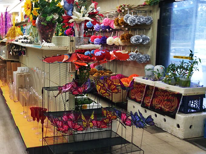 A flutter of color awaits! These butterflies are ready to transform your garden into a scene straight out of a Disney movie.