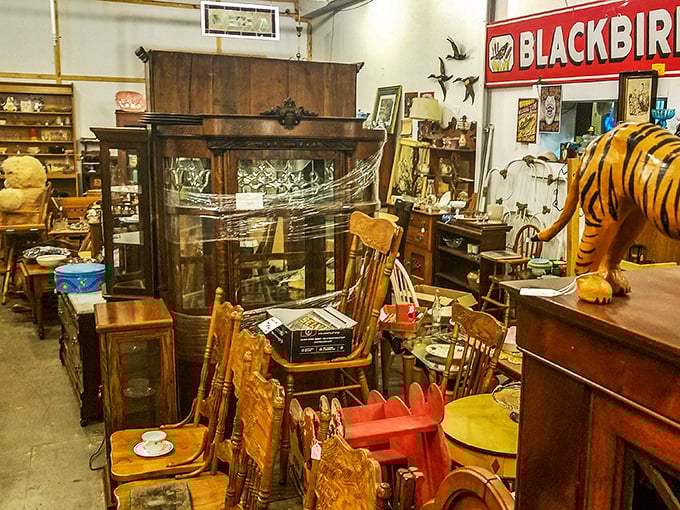 Take a seat and stay awhile. These chairs have seen more drama than a soap opera marathon.