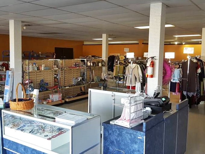 Command central or treasure island? This counter is where dreams come true and wallets breathe a sigh of relief. Prepare for the sweetest sticker shock ever!