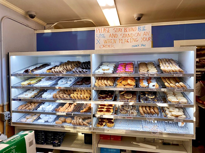 A rainbow of sweetness! This display case is like Willy Wonka's factory, if Willy Wonka specialized in circular delights.