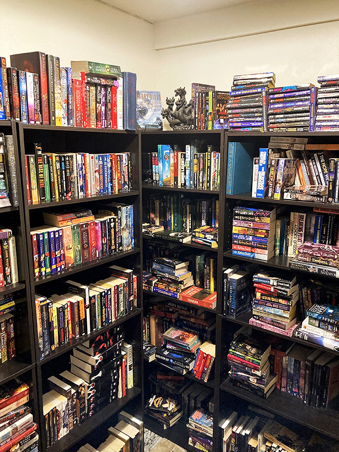 From dragons to space odysseys, this corner of the store is where imagination takes flight. Bet you can't pick just one!