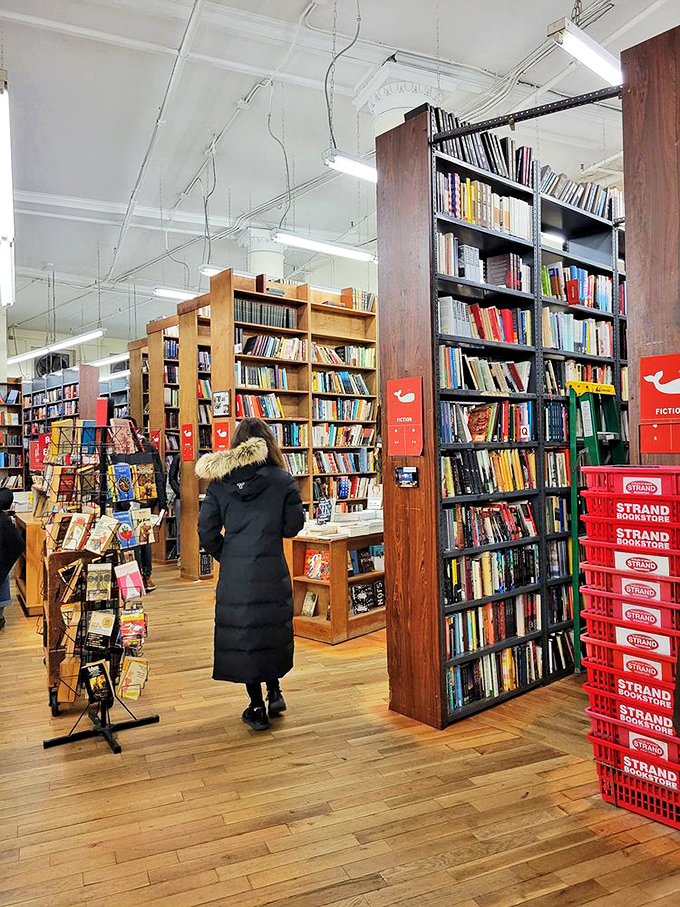 Fiction shelves: where worlds collide, heroes are born, and time travel is just a page turn away.