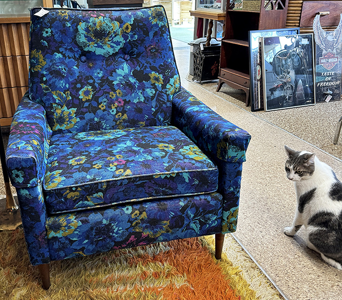 Mid-century modern meets eclectic chic. It's like "Mad Men" and "The Addams Family" had a furniture lovechild.