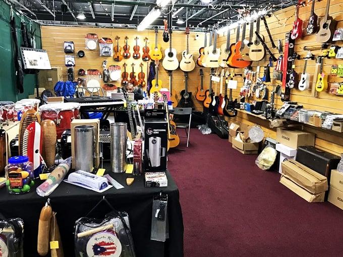 Stairway to Heaven? More like Aisle to Acoustic Paradise! This guitar collection would make even Jimmy Page's fingers itch.