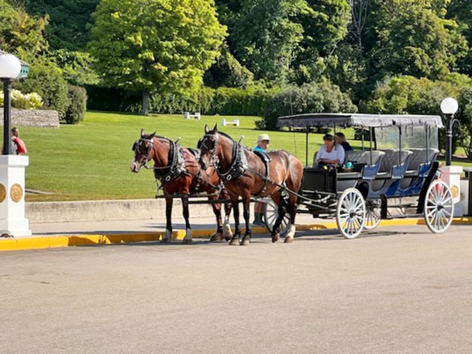 Horse-drawn elegance meets island charm. It's like Cinderella's carriage got a summer job, and honestly, we're here for it.