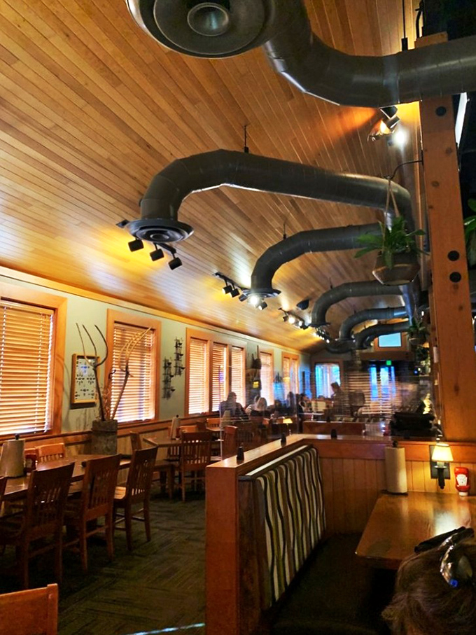 The ceiling's industrial chic meets warm wood tones create an atmosphere that's part modern art, part cozy cabin. It's like Frank Lloyd Wright met a lumberjack.