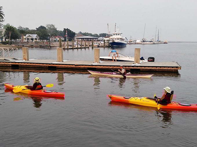 Paddle your way to paradise. St. Marys' waterways offer a kayaker's dream, with each stroke revealing new wonders of the coastal ecosystem.