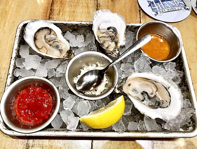 Fresh oysters on ice – nature's perfect appetizer. Like kissing the sea, but with less salt water up your nose.
