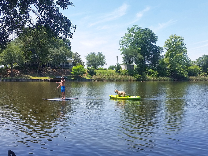 Paddle boarding on Cane River Lake: Where "going with the flow" isn't just advice, it's a way of life.