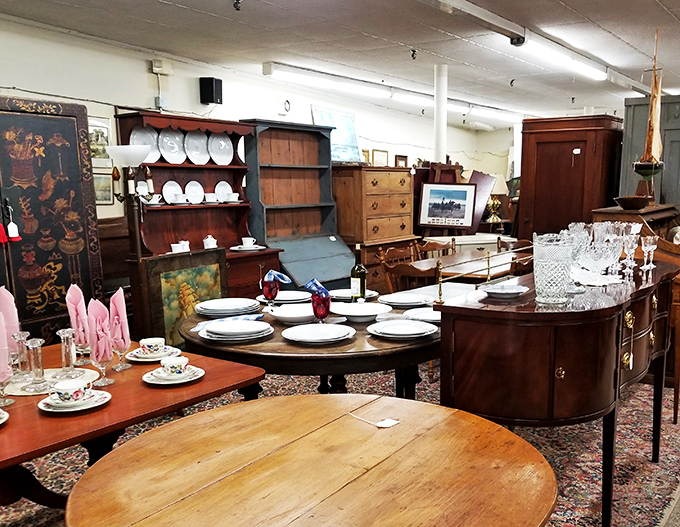 Bookworms, rejoice! This literary treasure trove is where stories of the past come to find new chapters.