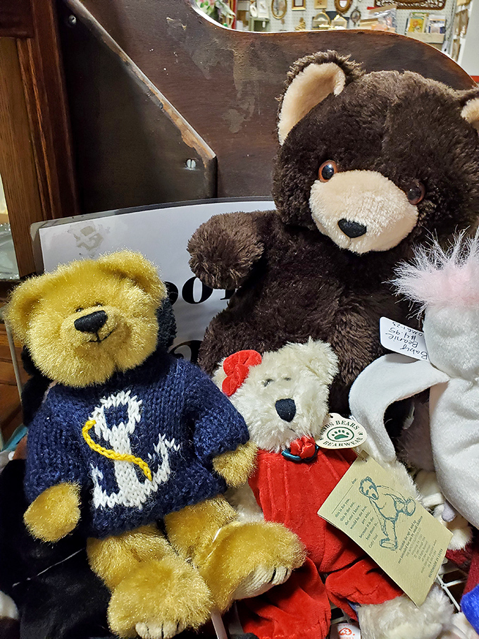 Cuddly companions from a simpler time. These fuzzy friends have seen it all and are ready for new adventures. Who wants a bear hug?