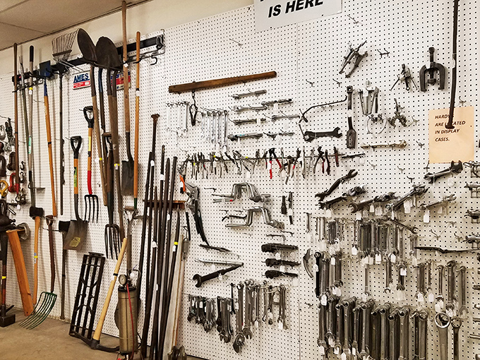 Tool time extravaganza! This wall of wrenches and gadgets would make Tim "The Tool Man" Taylor weak in the knees.