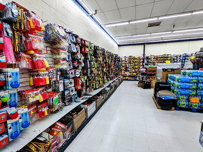 DIY paradise or tool time temptation? This aisle is where weekend warriors suit up for battle against household projects.