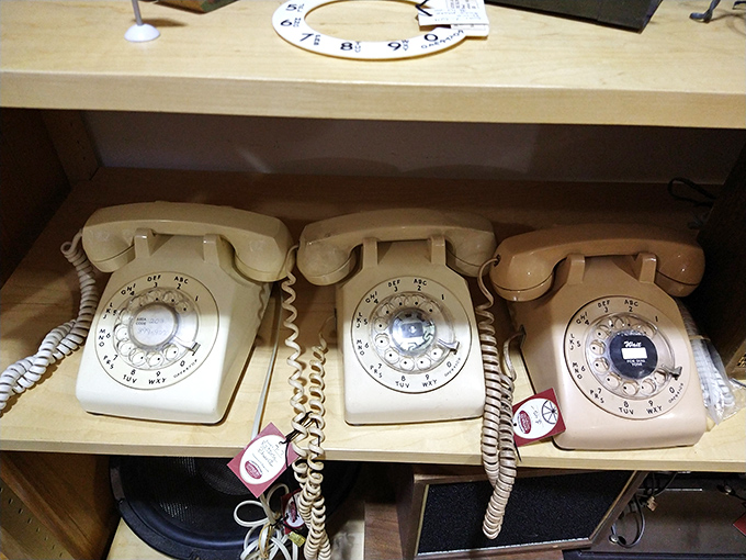 Ring-a-ding-ding! These rotary phones are a direct line to the past. Just don't try to text on them &ndash; trust me, I've tried!