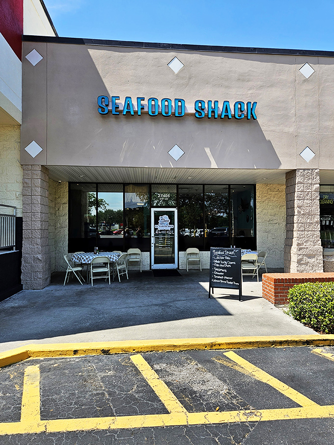 Seafood Shack: Proof that treasure can be found in strip malls! This Leesburg pearl serves up fried catfish crispier than a fresh dollar bill.
