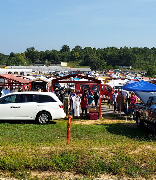 alabama bargain hunting ftr
