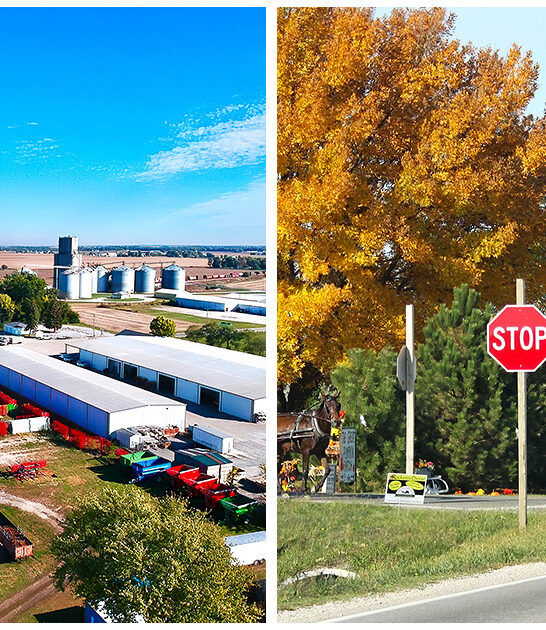 amish town illinois ftr