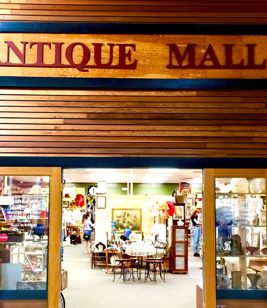 antique place north dakota ftr