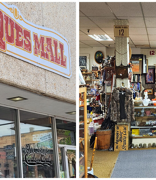 antique store south dakota ftr