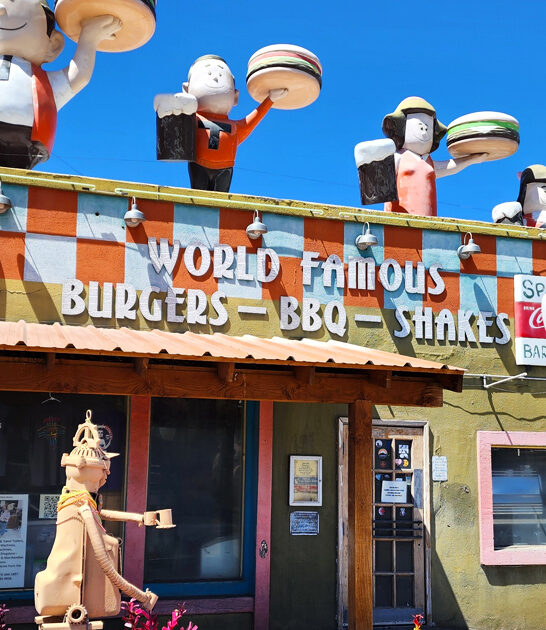 best barbecue new mexico ftr