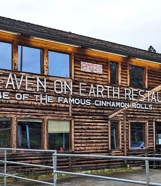 best cinnamon rolls azalea or ftr