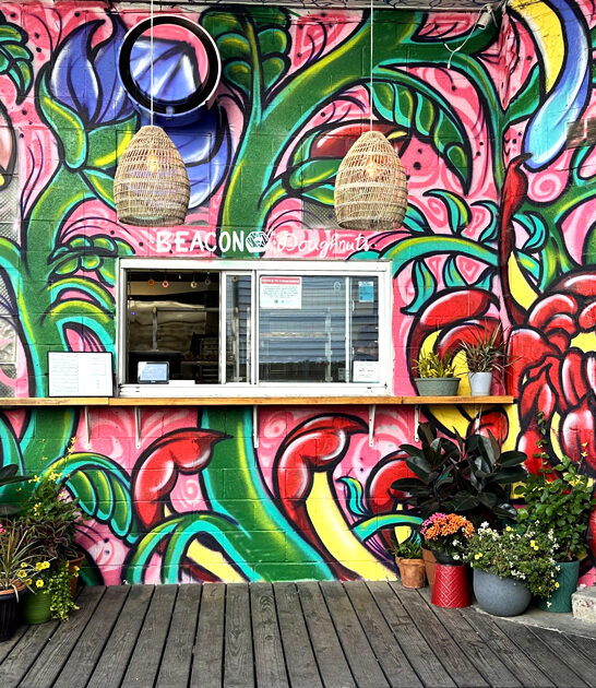 best donut shop illinois ftr