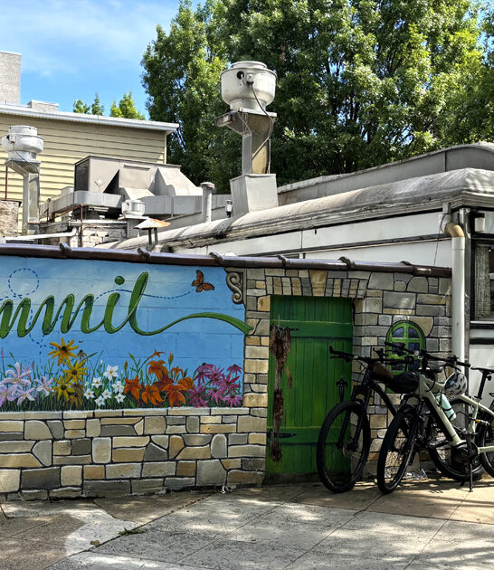 best new jersey omelets ftr