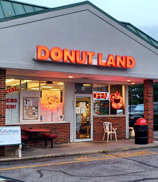 best ohio apple fritters ftr