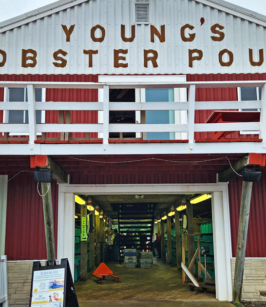 best seafood maine restaurants ftr