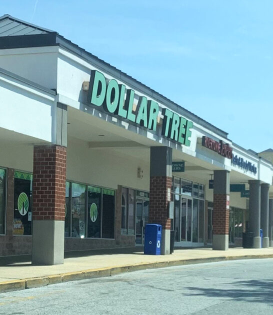 big dollar store maryland ftr