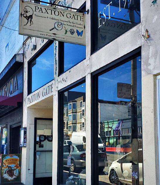 bizarre oddities store san francisco ca ftr