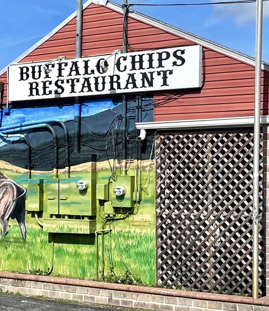 buffalo wings florida restaurant ftr