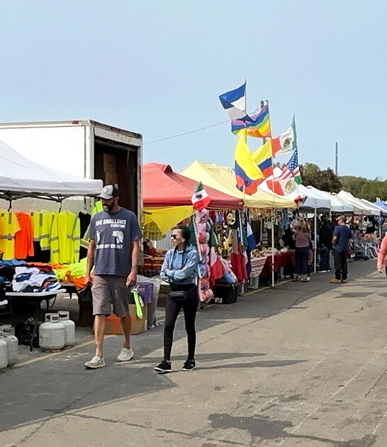 caledonia bargain hunting flea market wi ftr